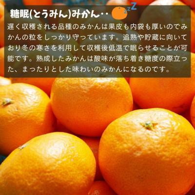 ふるさと納税 有田川町 熟成 有田みかん とにかく小玉 箱込 10kg (内容量9.2kg) 2Sサイズ以下 秀優品混合 : 1510997 : さとふる - 通販 - Yahoo!ショッピング