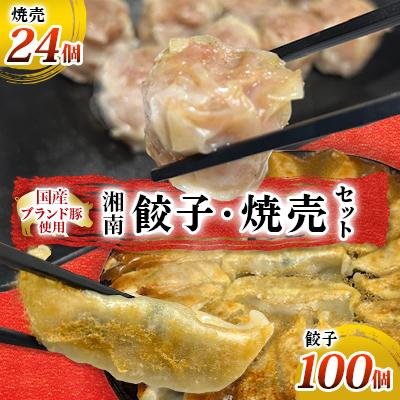 ふるさと納税 藤沢市 【冷凍】湘南餃子(ぎょうざ)100個・焼売(シューマイ)24個セット :1519633:さとふる - 通販 ...