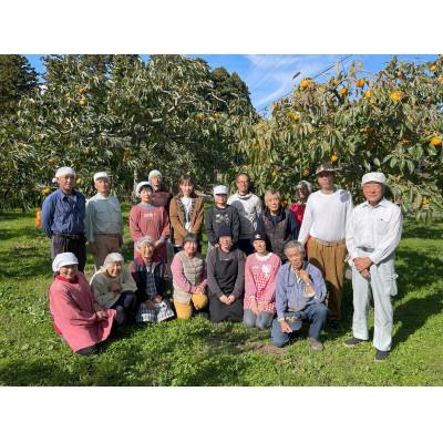 ふるさと納税 南砺市 福蜜柿L(12個入、720g) : 1522113 : さとふる - 通販 - Yahoo!ショッピング