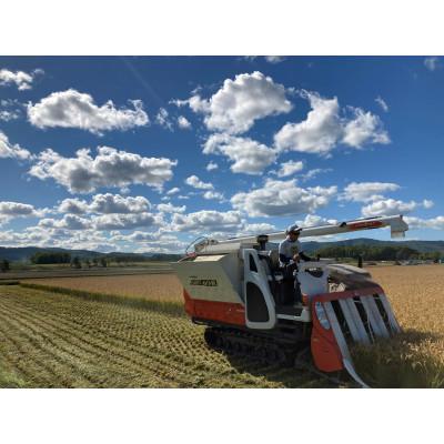 ふるさと納税 鷹栖町 【先行受付】令和6年産 真空パック ゆめぴりか白米5kg×4 計20kgセット SA198 : 1528148 ...