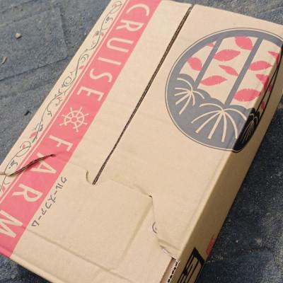 ふるさと納税 つくば市 さつまいも(シルクスイート)5kg : 1552274 : さとふる - 通販 - Yahoo!ショッピング