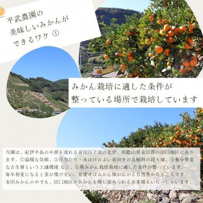 ふるさと納税 広川町 2024年12月より順次発送 有田みかん5kg 3Lサイズ(超大玉)平武農園の有田ブランド田口みかん : 1566463 : さとふる - 通販 - Yahoo!ショッピング