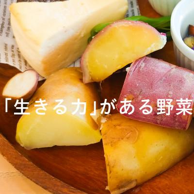 ふるさと納税 掛川市 有機ジャガイモ 栽培期間中、農薬不使用 有機JAS認証 季節限定(6,7,8月発送) : 1568576 : さとふる ...