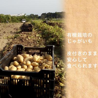 ふるさと納税 掛川市 有機ジャガイモ 栽培期間中、農薬不使用 有機JAS認証 季節限定(6,7,8月発送) : 1568576 : さとふる ...