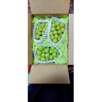 ふるさと納税 竹田市 【2025年度先行予約】規格外 訳あり シャインマスカット 1kg(2〜4房) : さとふる - 通販 - Yahoo!ショッピング