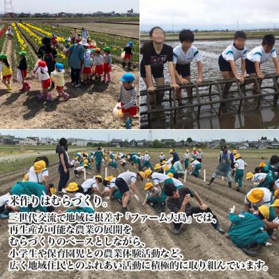 ふるさと納税 射水市 R7年富山県射水市産「富富富」 10kg(5kg×2)【精米】 : さとふる - 通販 - Yahoo!ショッピング