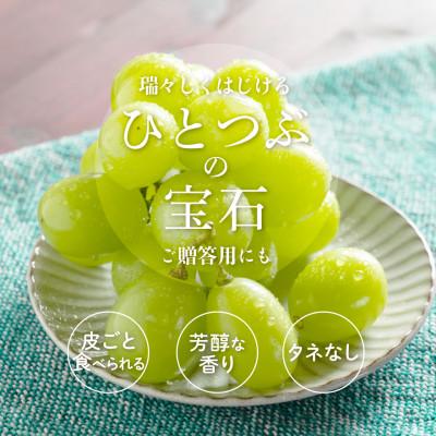 ふるさと納税 由良町 ぶどう先行予約! シャインマスカット秀品 2房(約1.2kg)こだわり農家厳選! : さとふる - 通販 - Yahoo ...