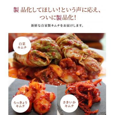 ふるさと納税 碧南市 手作り キムチ3点セット 白菜×らっきょう×さきいか 無添加無着色 国産野菜使用 H129-018 :3061758 ...
