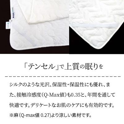 ふるさと納税 碧南市 テンセル100% ベッドパッド(セミダブル) H115-021 : さとふる - 通販 - Yahoo!ショッピング