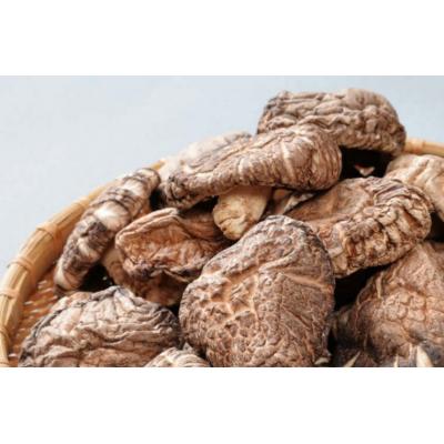 ふるさと納税 国東市 中野屋の油留木乾し椎茸 7パック(計350g)_1733R :3103884:さとふる - 通販 - Yahoo!ショッピング