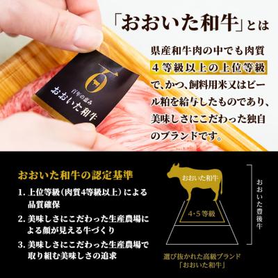 ふるさと納税 佐伯市 おおいた和牛 生ハム (計500g・50g×10P) :3104387:さとふる - 通販 - Yahoo!ショッピング