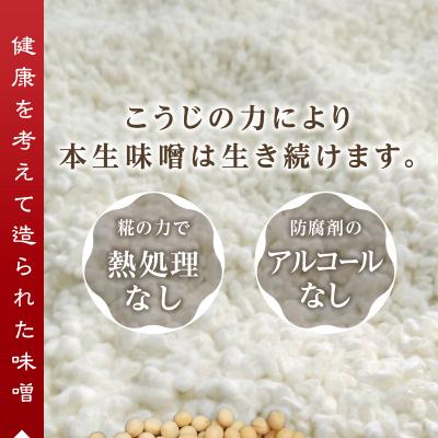ふるさと納税 焼津市 味噌 手造り 職人 詰合せ 白 糀 麦 赤 味噌 セット(a12-041) : 3110003 : さとふる - 通販 ...