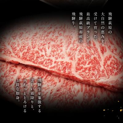 ふるさと納税 下呂市 【冷凍】飛騨牛サーロインステーキ 200g×2枚 国産 牛肉【22-17】 : 3115500 : さとふる - 通販 ...