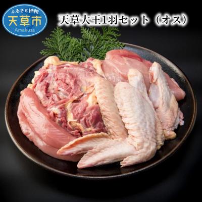 ふるさと納税 天草市 天草大王1羽セット(オス)_S081-011A : 3120859 : さとふる - 通販 - Yahoo!ショッピング