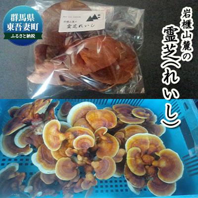 ふるさと納税 東吾妻町 岩櫃山麓の霊芝(レイシ)[No.5819-0274] : 3122935 : さとふる - 通販 - Yahoo!ショッピング