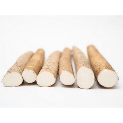 ふるさと納税 岐阜県 水戸屋の自然薯 桐箱入り : 3136386 : さとふる - 通販 - Yahoo!ショッピング