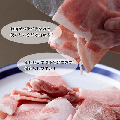 ふるさと納税 新ひだか町 ＜定期便12回＞ 北海道産 健酵豚 小間切れ & ひき肉 計 1.2kg (全14.4kg) : さとふる - 通販 - Yahoo!ショッピング