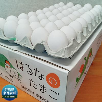 ふるさと納税 東吾妻町 特選 はるなのたまご 5kg(Mサイズ 90個入り)[No.5819-0283] : さとふる - 通販 - Yahoo!ショッピング