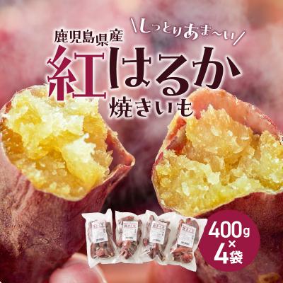 ふるさと納税 鹿児島市 冷凍焼き芋(紅はるか)1.6kg K015-005 : さとふる - 通販 - Yahoo!ショッピング