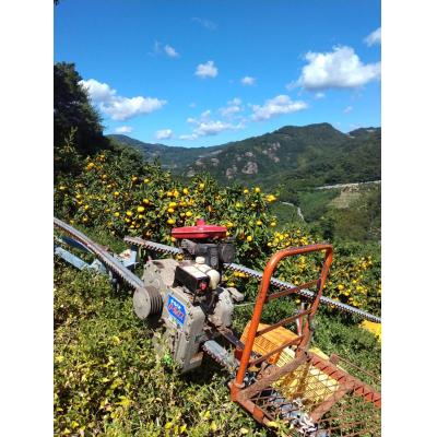 ふるさと納税 西予市 山本果樹園直送 完熟早生みかん 4kg(家庭用) : 3176221 : さとふる - 通販 - Yahoo!ショッピング