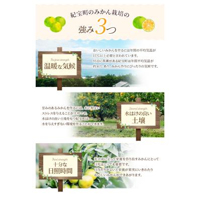 ふるさと納税 紀宝町 訳あり 極早生温州みかん 約4kg+傷み保証分200g 2S〜3Lサイズおまかせ【njb691】 : さとふる - 通販 - Yahoo!ショッピング