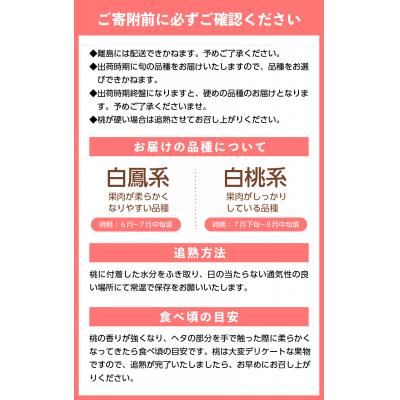 ふるさと納税 甲府市 〈2025年度配送分〉甲府市産 桃 約3kg(8〜12玉) : 3190198 : さとふる - 通販 - Yahoo!ショッピング