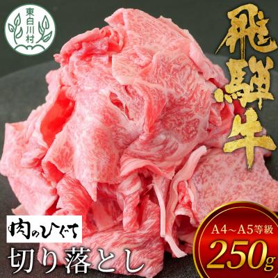 ふるさと納税 東白川村 飛騨牛 切り落とし 250g A5等級 A4等級 肉のひぐち : さとふる - 通販 - Yahoo!ショッピング