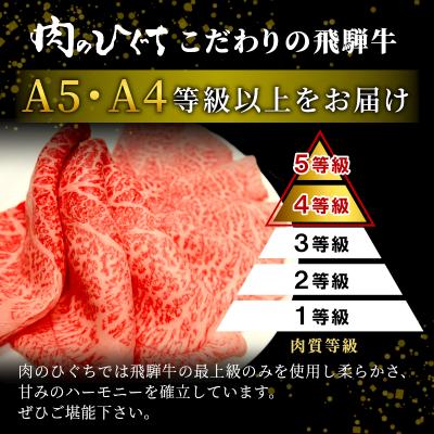 ふるさと納税 東白川村 飛騨牛 切り落とし 250g A5等級 A4等級 肉のひぐち : さとふる - 通販 - Yahoo!ショッピング