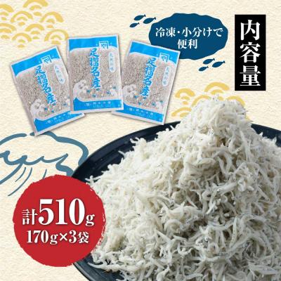 ふるさと納税 土佐清水市 岡本水産加工 ちりめんじゃこ 170g×3袋(510g)無添加 天日干し しらす【R00017】 : さとふる - 通販 - Yahoo!ショッピング