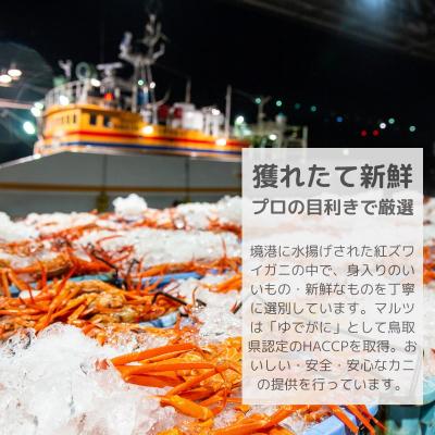 ふるさと納税 江府町 【訳あり】蟹屋の釜茹で紅ずわいがに2kg箱詰めセット カニ専門店マルツ 先行受付 M6 1031 : 3214488 ...
