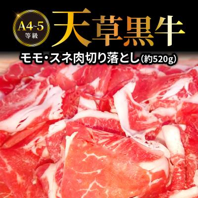 ふるさと納税 天草市 天草黒牛 モモ・スネ肉 切り落とし 約520g 黒毛和牛 A4〜5等級_S074-016 : 3247945 : さとふる - 通販 - Yahoo!ショッピング