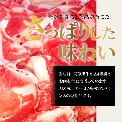ふるさと納税 天草市 天草黒牛 モモ・スネ肉 切り落とし 約520g 黒毛和牛 A4〜5等級_S074-016 : 3247945 : さとふる - 通販 - Yahoo!ショッピング