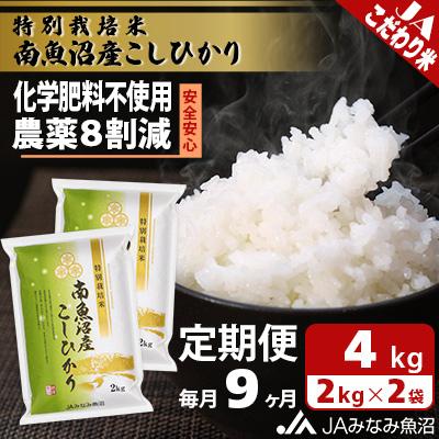 ふるさと納税 南魚沼市 【毎月定期便】特別栽培米南魚沼産こしひかり8割減 精米 4kg(2kg×2)全9回 : さとふる - 通販 - Yahoo!ショッピング