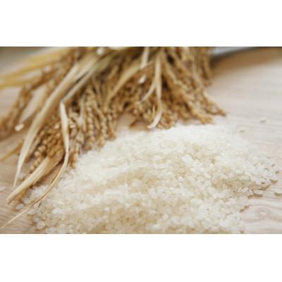 ふるさと納税 十日町市 【毎月定期便】魚沼産コシヒカリ 精米4kg(2kg×2袋)全6回 : さとふる - 通販 - Yahoo!ショッピング