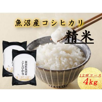 ふるさと納税 十日町市 【毎月定期便】魚沼産コシヒカリ 精米4kg(2kg×2袋)全12回 : さとふる - 通販 - Yahoo!ショッピング