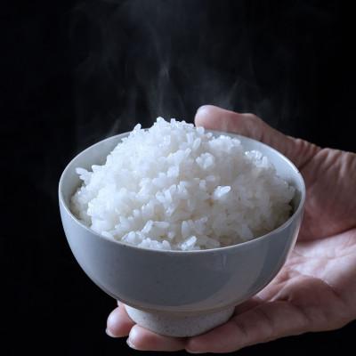 ふるさと納税 南魚沼市 【毎月定期便】4kg(2kg×2袋) 厳選南魚沼産コシヒカリ「こまがた家のお米」全6回 : さとふる - 通販 - Yahoo!ショッピング