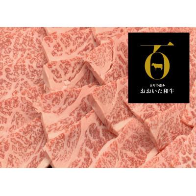 ふるさと納税 別府市 【2023年6月中旬発送】『ホテルクオリティ』おおいた和牛カルビ 500g : 6427984 : さとふる - 通販 ...