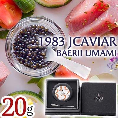 ふるさと納税 宮崎市 【2024年8月下旬発送】1983 J.CAVIAR BAERII UMAMI (20g) : 6533462 : さとふる - 通販 - Yahoo!ショッピング