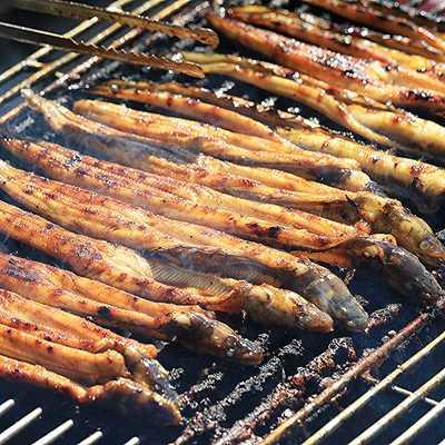 ふるさと納税 備前市 【2025年8月中旬発送】訳あり 国産 炭火焼き穴子 320g 5〜11本入 小タレ付 : 6716032 : さとふる - 通販 - Yahoo!ショッピング