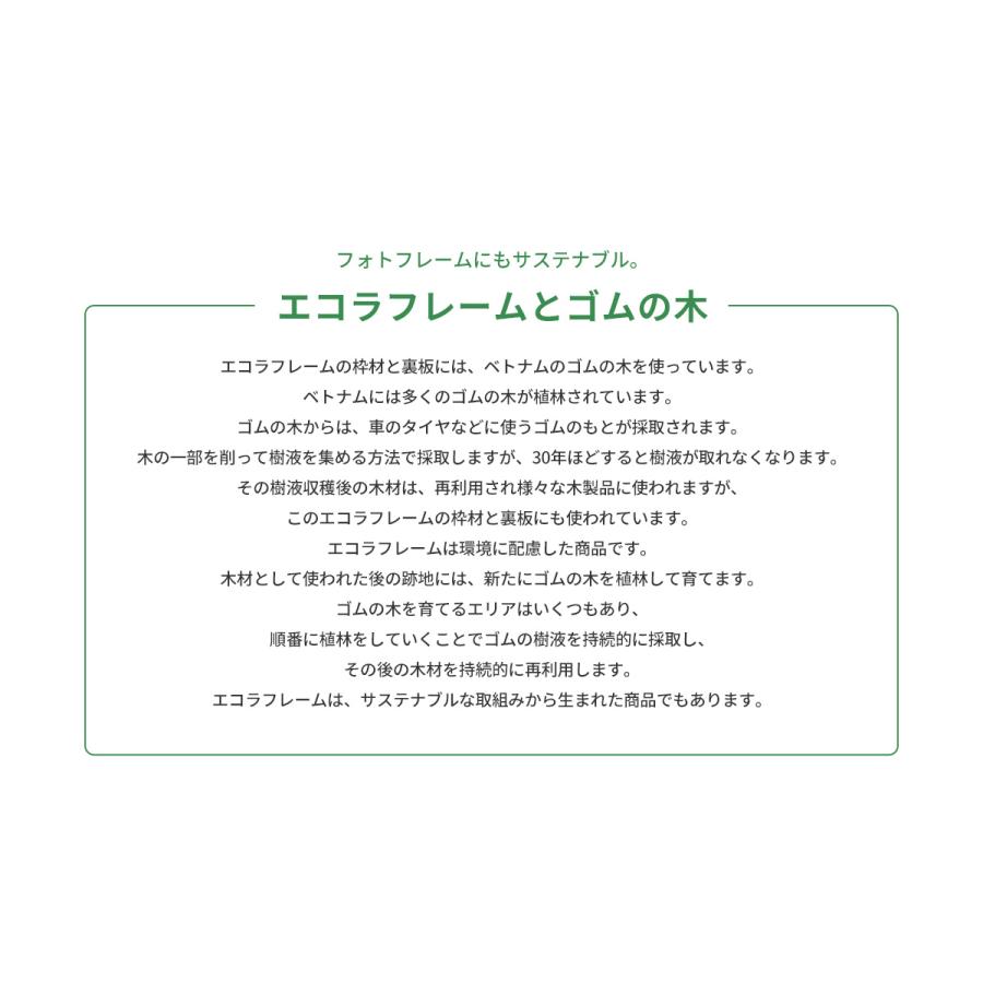 万丈 木製フォトフレーム A4判 A5判 兼用 環境に優しい エコラフレーム ECL-A4A5-BR : フイルム&雑貨 写楽 - 通販 - Yahoo!ショッピング