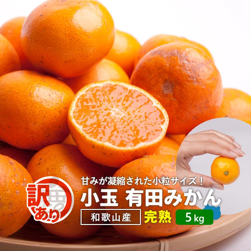 小粒な有田みかん わけあり 5kg ／ 2Sサイズ 3Sサイズ以下 送料無料 訳あり 温州みかん 濃厚 小玉みかん KS みかん ミカン 家庭用 : 池田鹿蔵農園 有田みかん・ジュース・メダカ ...