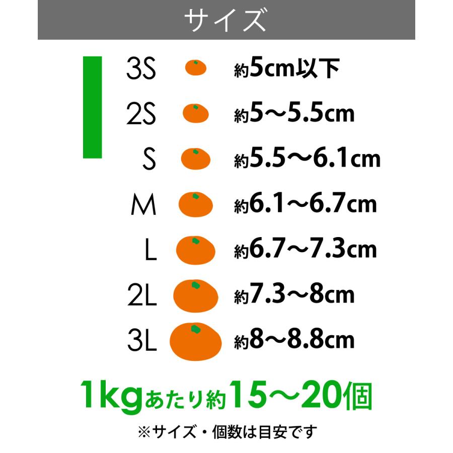 小粒な有田みかん わけあり 5kg ／ 2Sサイズ 3Sサイズ以下 送料無料 訳あり 温州みかん 濃厚 小玉みかん KS みかん ミカン 家庭用 : 池田鹿蔵農園 有田みかん・ジュース・メダカ ...