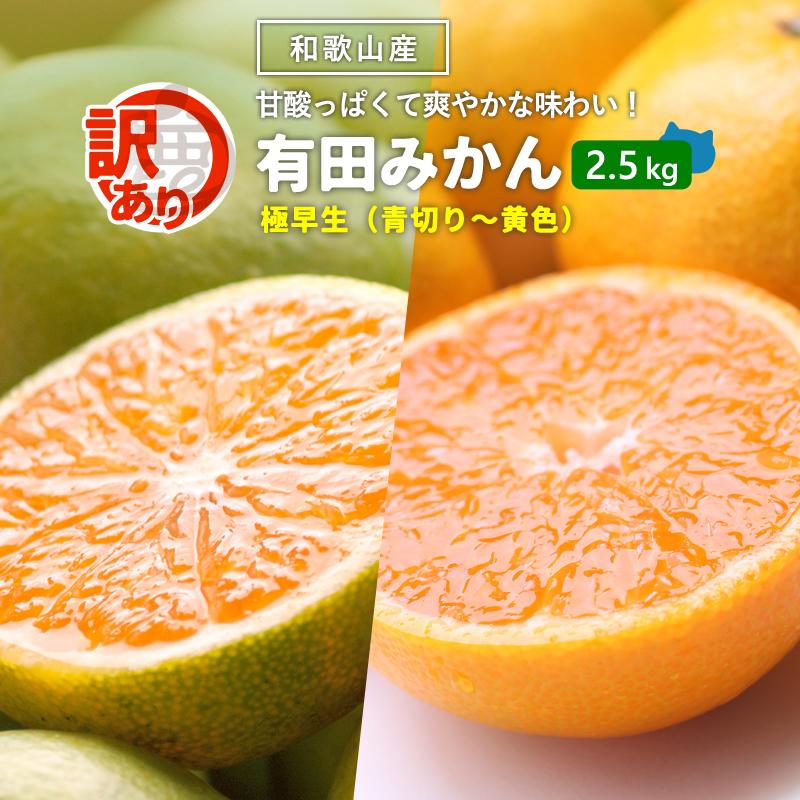 予約 発送予定10月中旬 訳あり 有田みかん ゆら早生 3kg 極早生 ／ ゆら早生みかん YN26 送料無料 わけあり 温州みかん KS 和歌山 有田 みかん ミカン ゆらら : k-wa ...