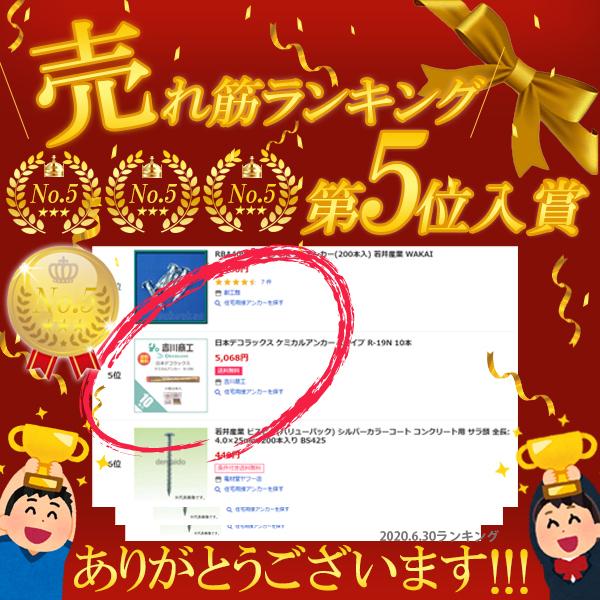 日本デコラックス ケミカルアンカー Rタイプ R-16N 25本 : 吉川商工 - 通販 - Yahoo!ショッピング