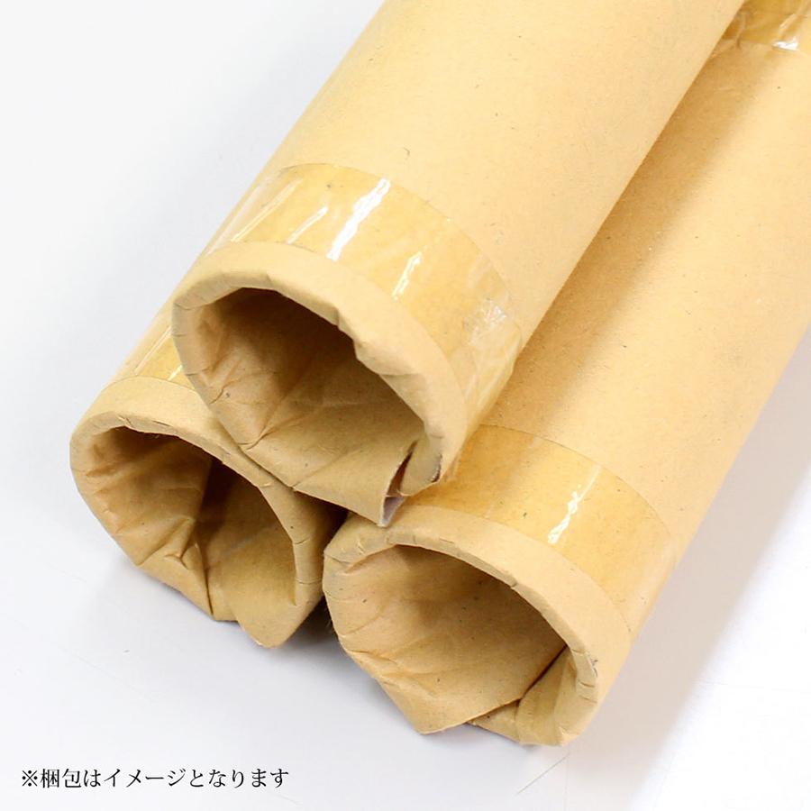 アルマックス ACT-050 アルミ単管パイプ 48.6パイ×50cm 48.6Φ 単管パイプ ジョイント クランプ 規格 単管クランプ ...