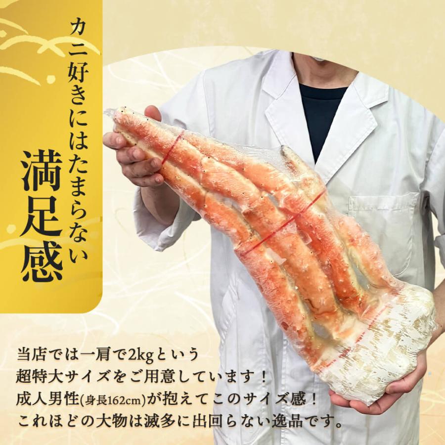 超特大 タラバガニ 1肩 2kg 2肩 4kg ボイル済 大きい 極太 たらばがに タラバ蟹 カニ 蟹 鍋 プレミアム原料使用 年末年始 お歳暮 ギフト 一部地域を除き送料無料 : 八代 ...
