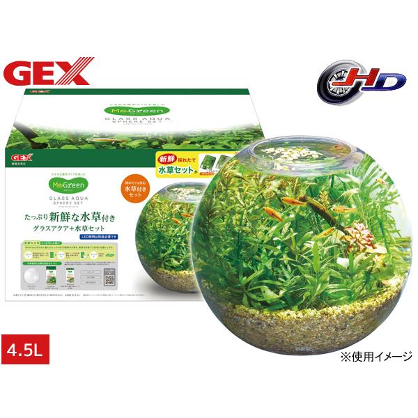 GEX MeGreen 新鮮な水草付き グラスアクアスフィアセット 約 W22×D22×H18cm 約4.5L 小さな生態系づくりを楽しむ水槽セット 送料無料 : ハッピードライブヤブモト ...