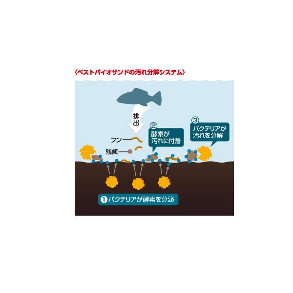 GEX ベストバイオサンド 6L 熱帯魚 観賞魚用品 水槽用品 砂 ジェックス 同梱不可 送料無料 : chou chou. - 通販 - Yahoo!ショッピング