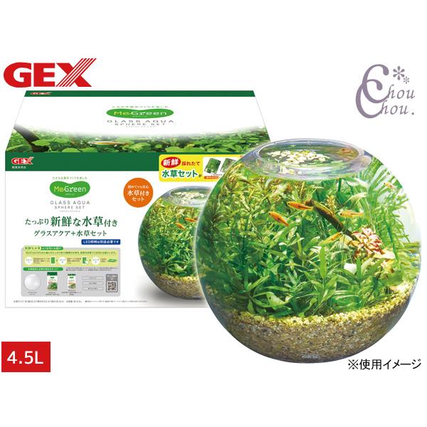 GEX MeGreen 新鮮な水草付き グラスアクアスフィアセット 約 W22×D22×H18cm 約4.5L 小さな生態系づくりを楽しむ水槽セット 送料無料 : chou chou ...