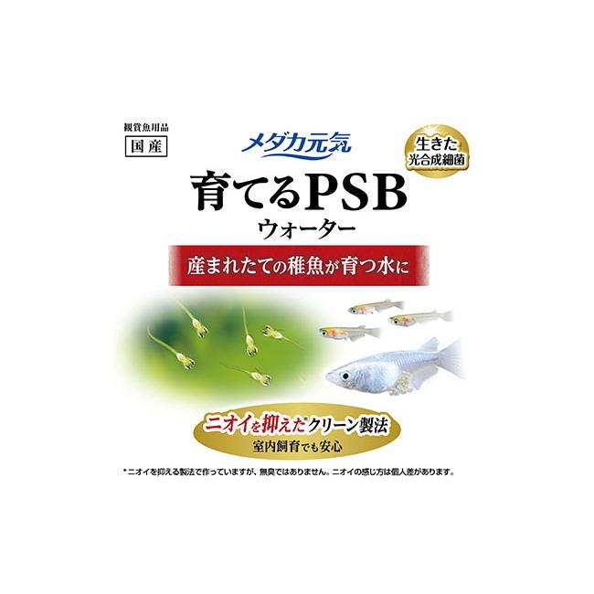 GEX メダカ元気 育てるPSBウォーター 1L 観賞魚用品 水槽用品 コンディショナー産まれたての稚魚が育つ水に : lovely-7043504-01 : プロツールショップヤブモト ...